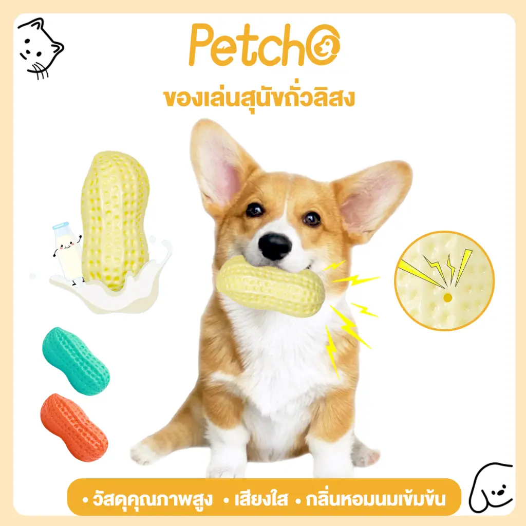Petcho: ถั่วลิสง ของเล่นสัตว์เลี้ยง, A1 - ZestBuy